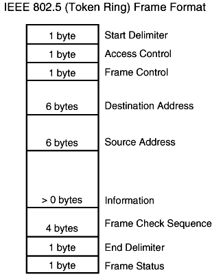 Upgrading and Repairing Networks -- Ch 7 -- Major Network Types