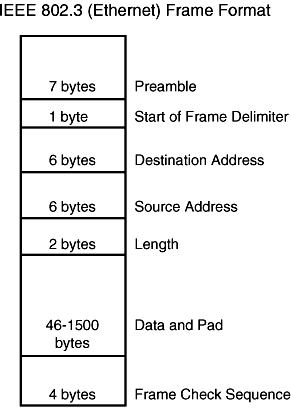 Upgrading and Repairing Networks -- Ch 7 -- Major Network Types
